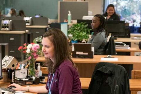 Meet Our Team | Hall County Tax Commissioner - GA